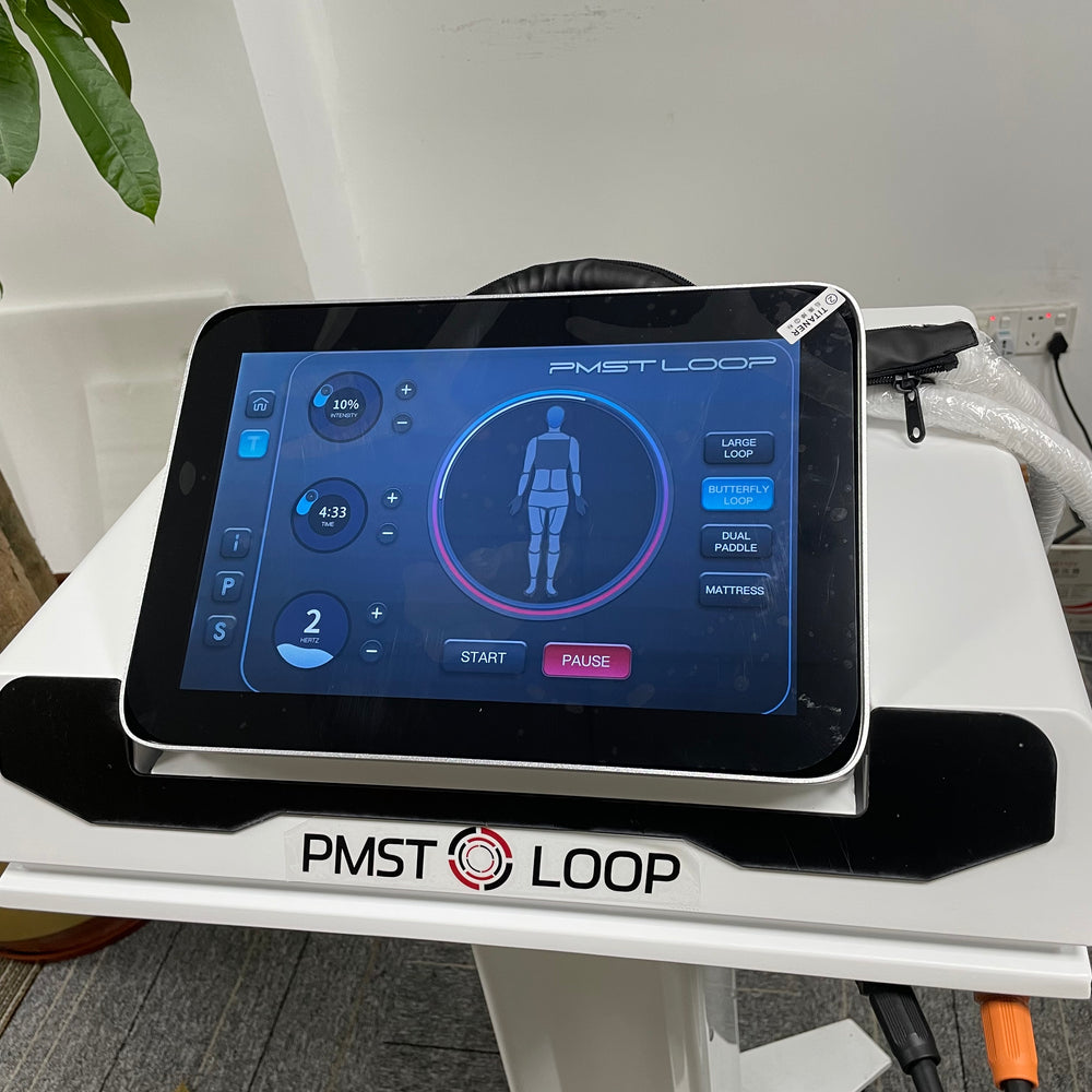 PEMF PMST LOOP Magnetic Therapy Machine for Horse Human Pain Rehabilit