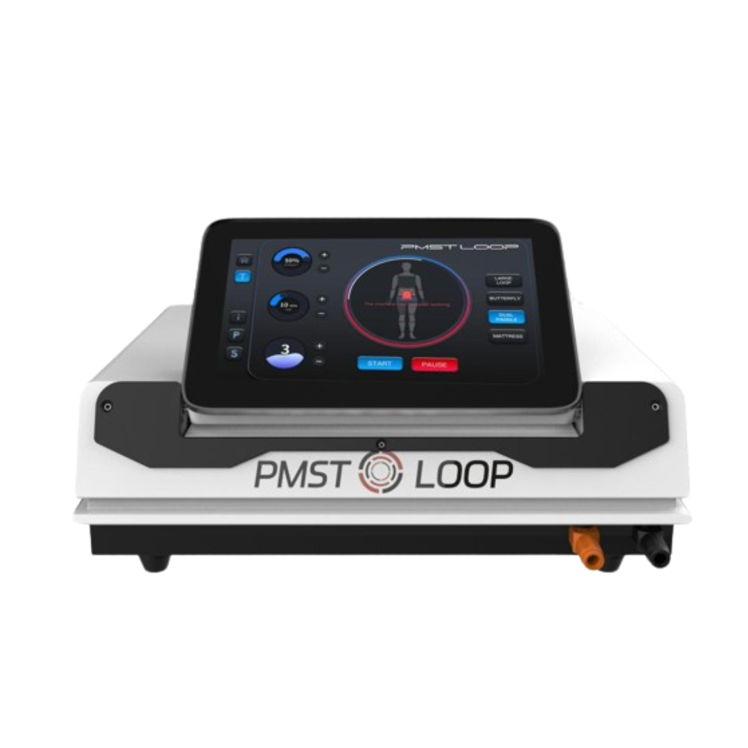 PEMF PMST LOOP Magnetic Therapy Machine for Horse Human Pain Rehabilitation