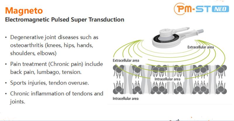 808nm Laser Physio Pain Therapy Magnetic Transduction magneto terapi ...